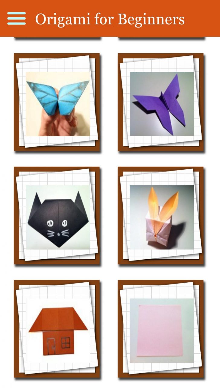 Origami For Dummies